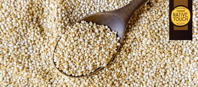 Pearl Millet - A Nutrient-Rich Grain with Health Benefits – Native Touch