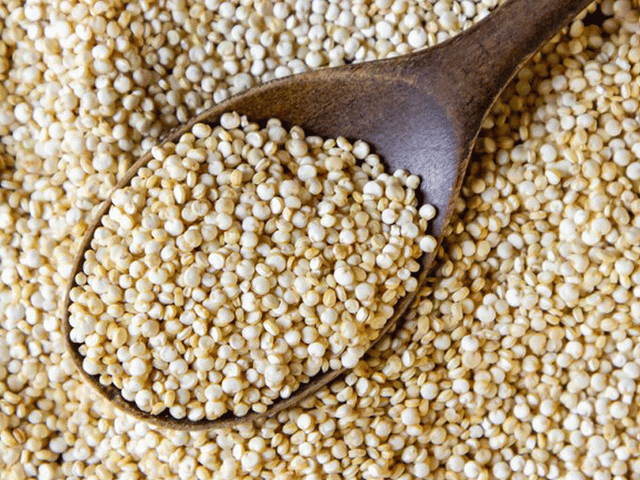 11 Delightful Millets Recipe for Healthy Living – Native Touch
